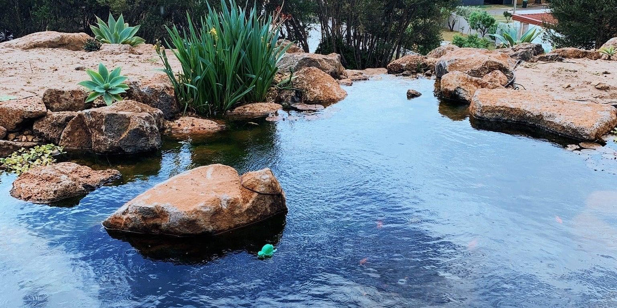 What Are the Best Big Outdoor Water Features? — Aquascape Australia