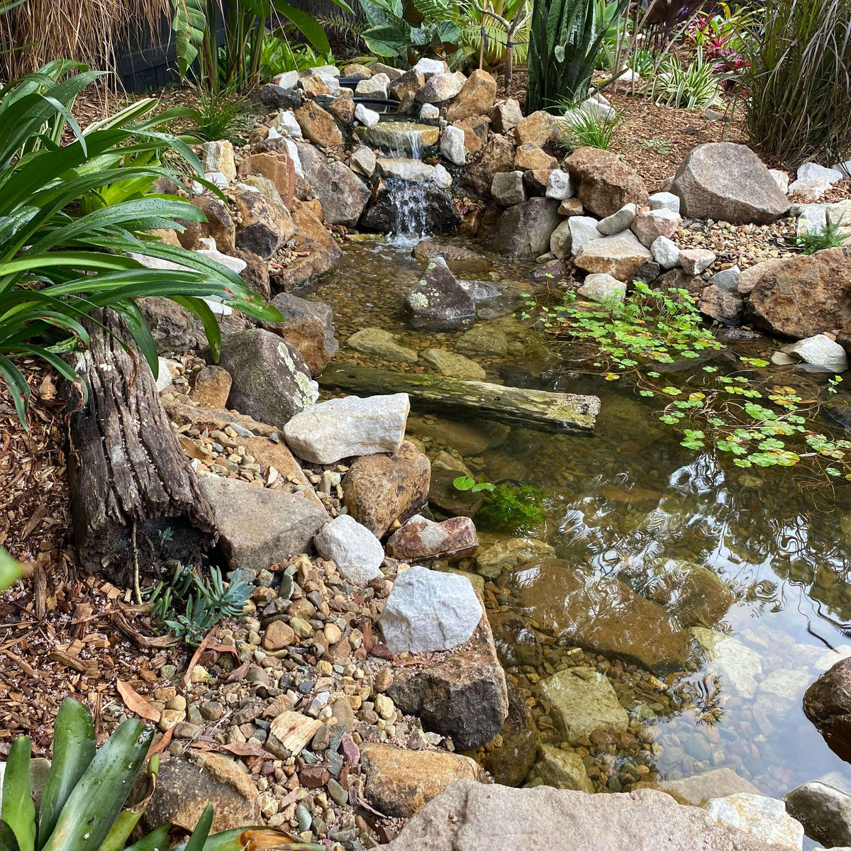 DIY Competition Winner Project Story — Aquascape Australia