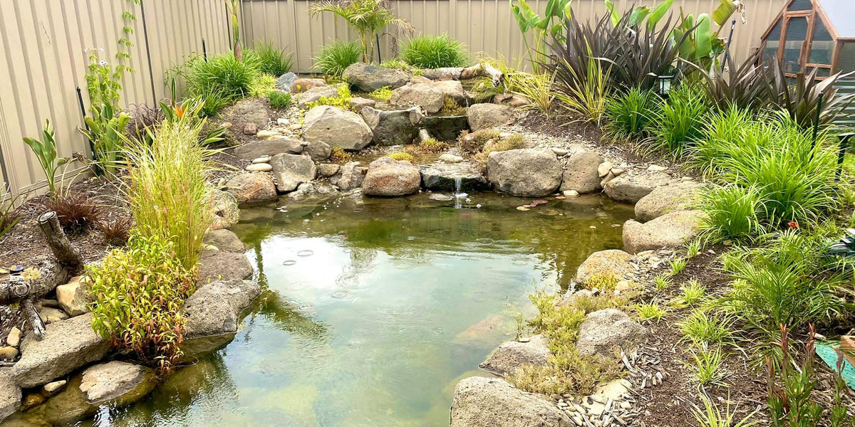 A Stunning Garden Pond Takes Centre Stage — Aquascape Australia