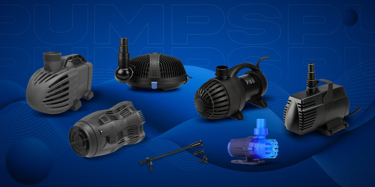 Best Water Pumps 2022: Choosing the Right Water Pump for your Feature ...